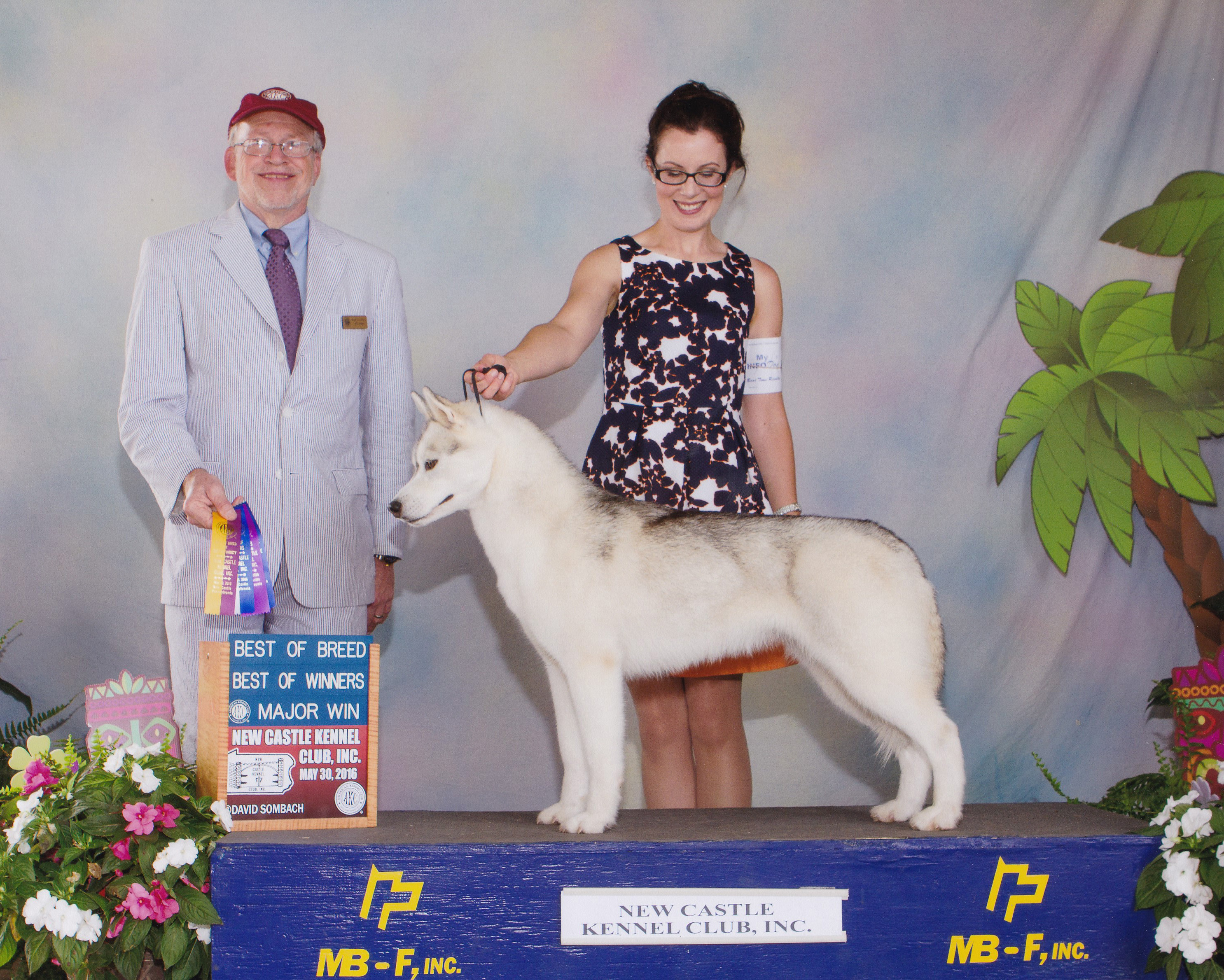 zeta+bob+2016 - Jalerran Siberian Husky Puppies